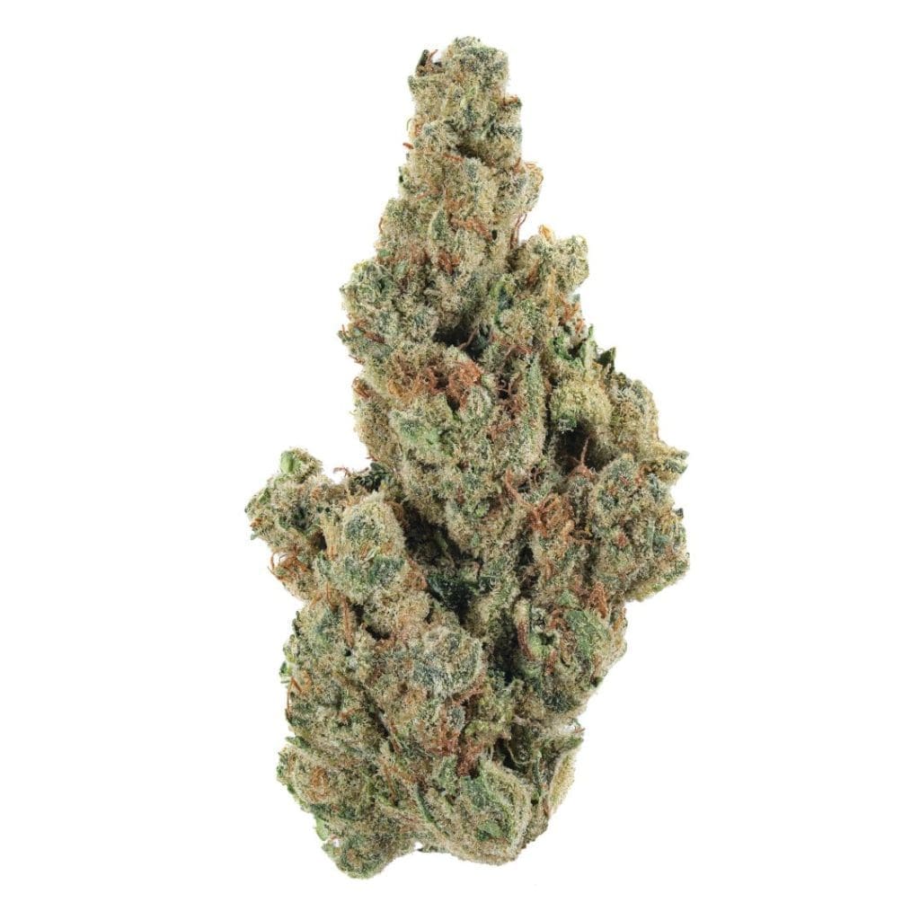 Shop THCa Products Online CannaBuddy Shop THCa Products Online CannaBuddy
